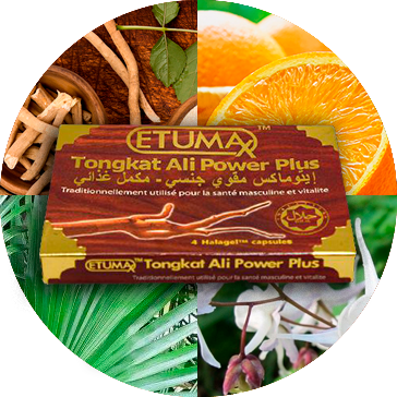 Tongkat Ali Power Plus