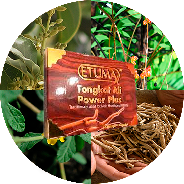 Tongkat Ali Power Plus